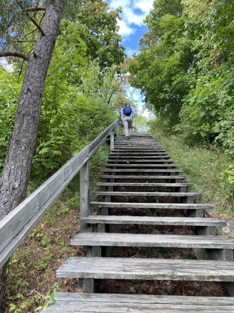 Climbing back up – web-goddess